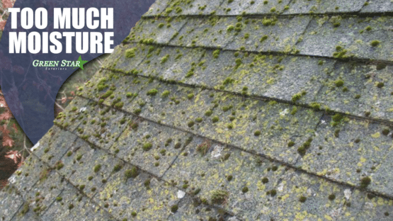 Roofing Moisture Algae Moss Lichens - Older Roofs - Green Star Exteriors
